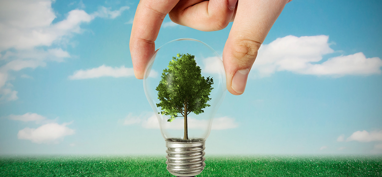 Innovation and Entrepreneurship for Sustainable Growth | NITI Aayog